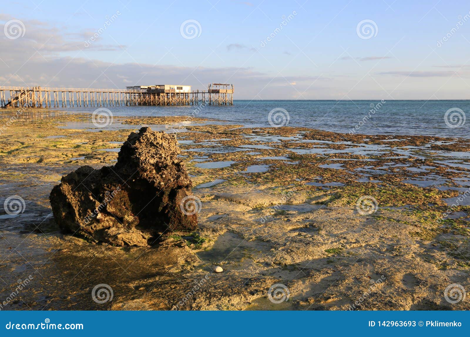 Ocean shore after low tide stock image. Image of corals - 142963693