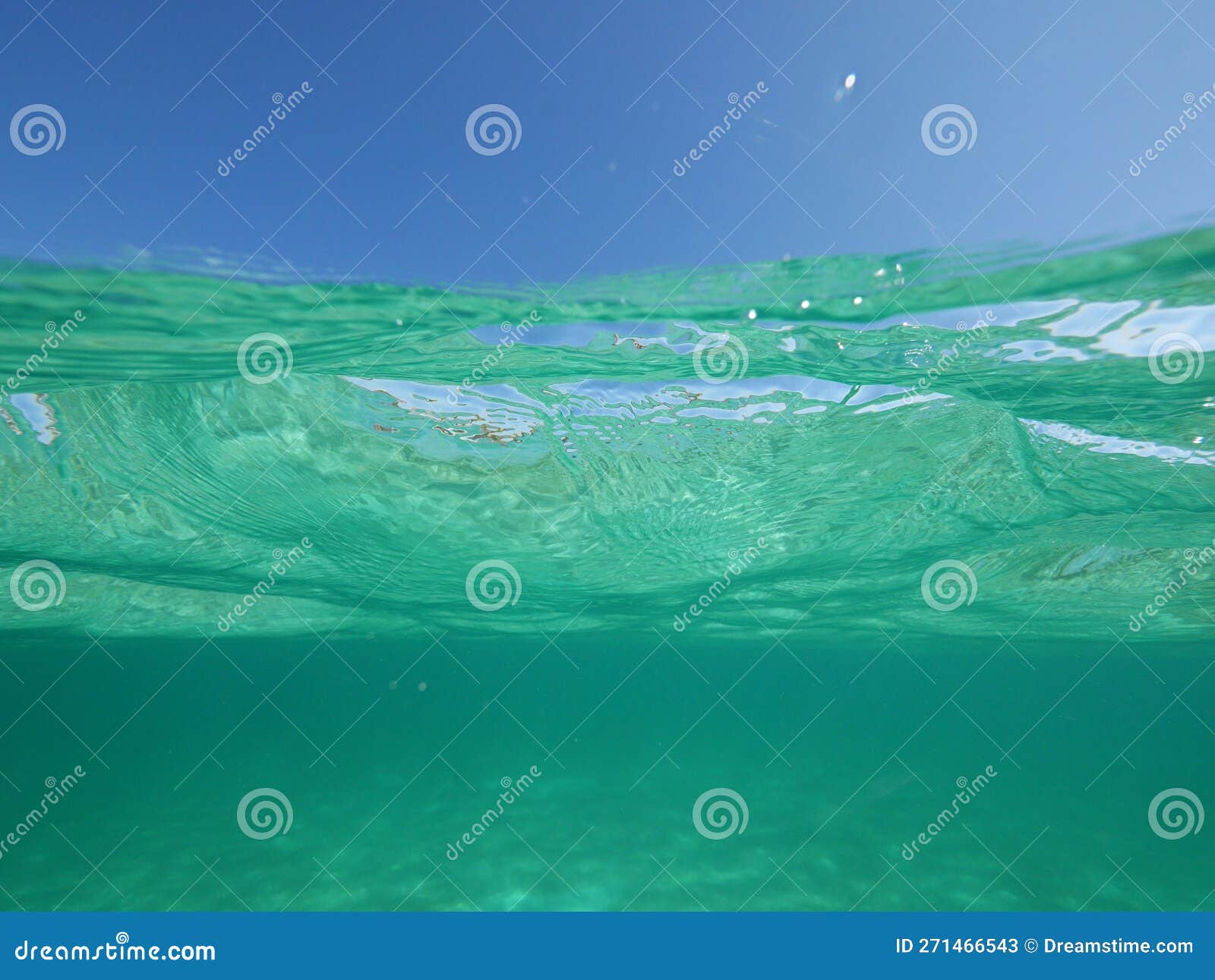 Caribbean Sea Split Level Ocean Stock Image - Image of coral, seafloor ...