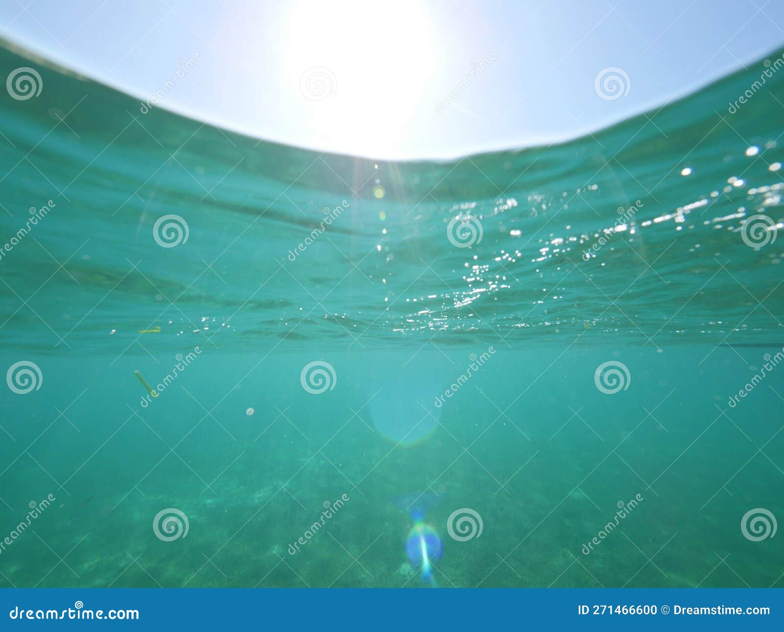 Caribbean Sea Split Level Ocean Stock Photo - Image of reef, surface ...