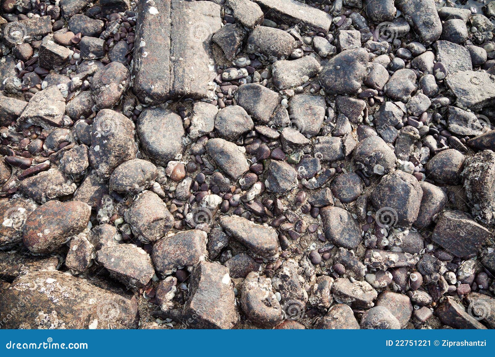 Ocean small stones texture stock image. Image of small - 22751221