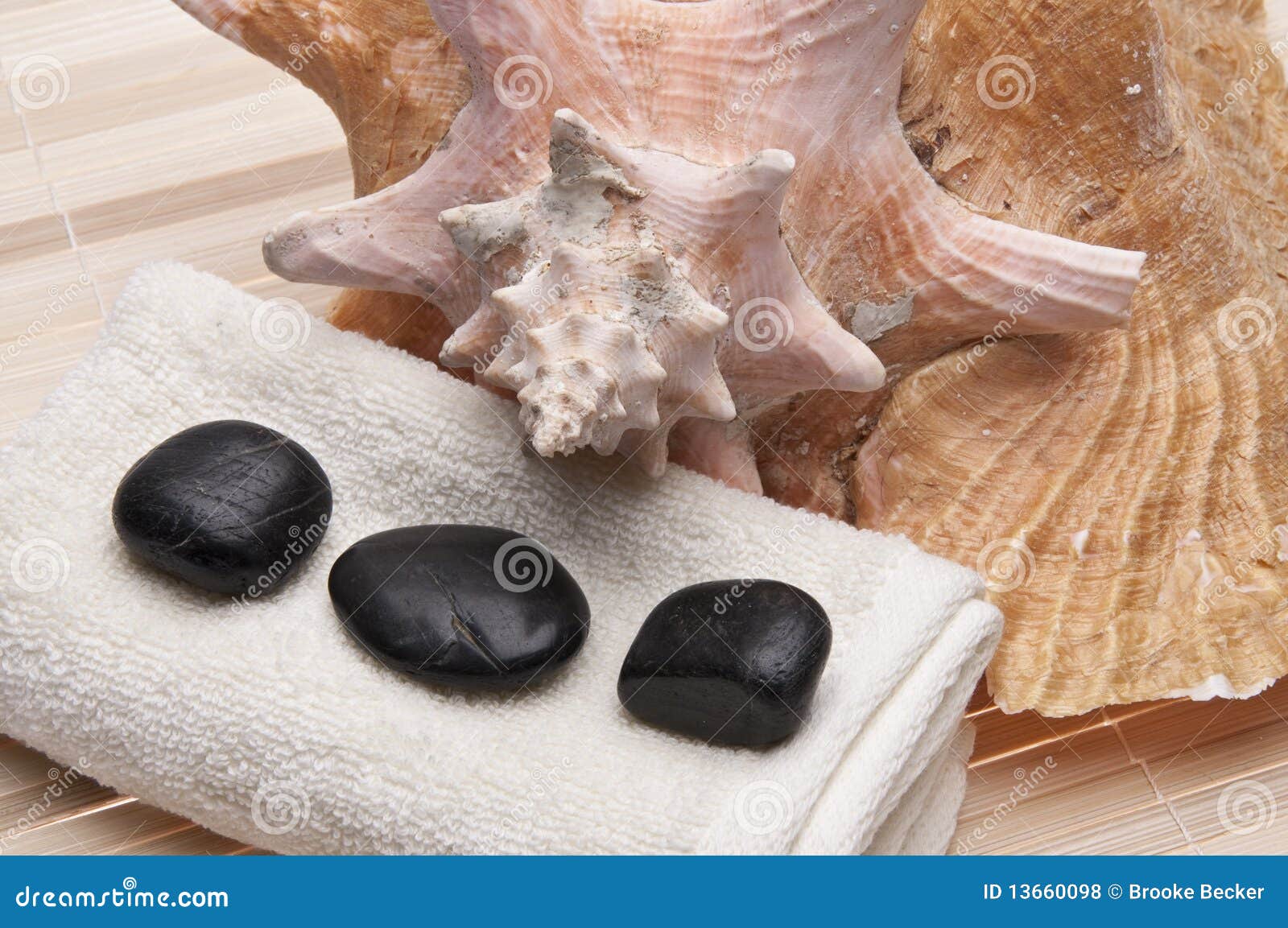 Ocean Spa Theme stock photo. Image of black, bath, shell - 13660098