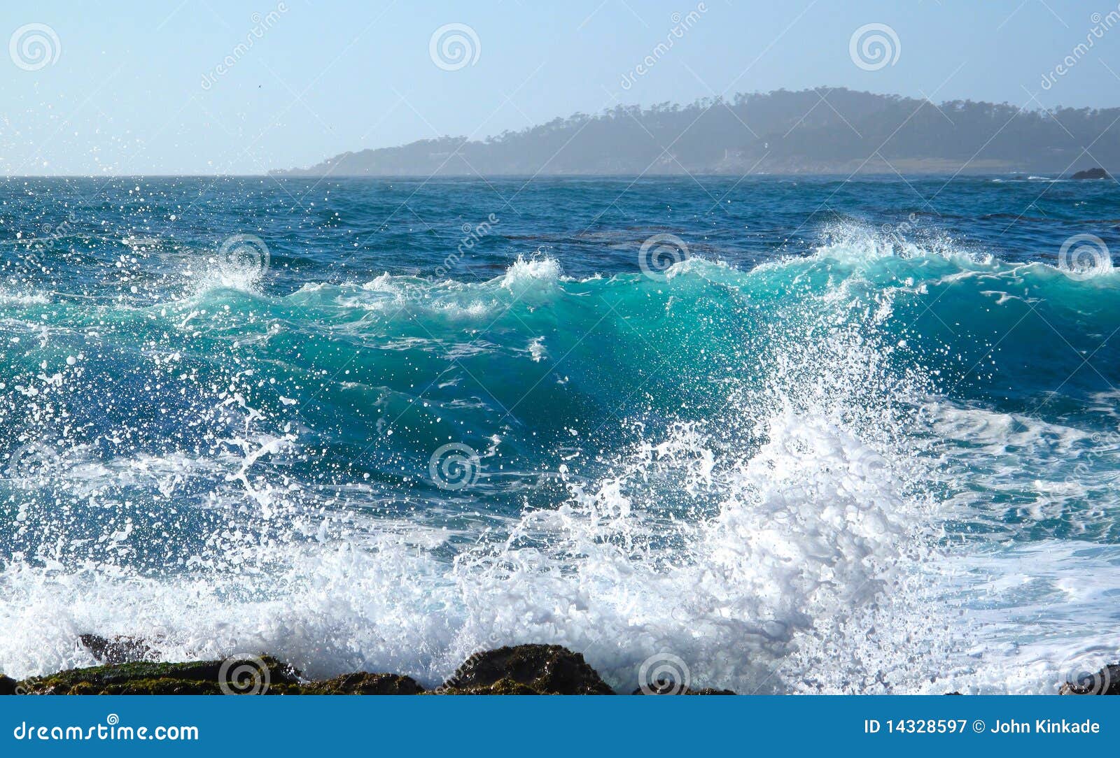 Ocean splash stock image. Image of environment, animals - 14328597