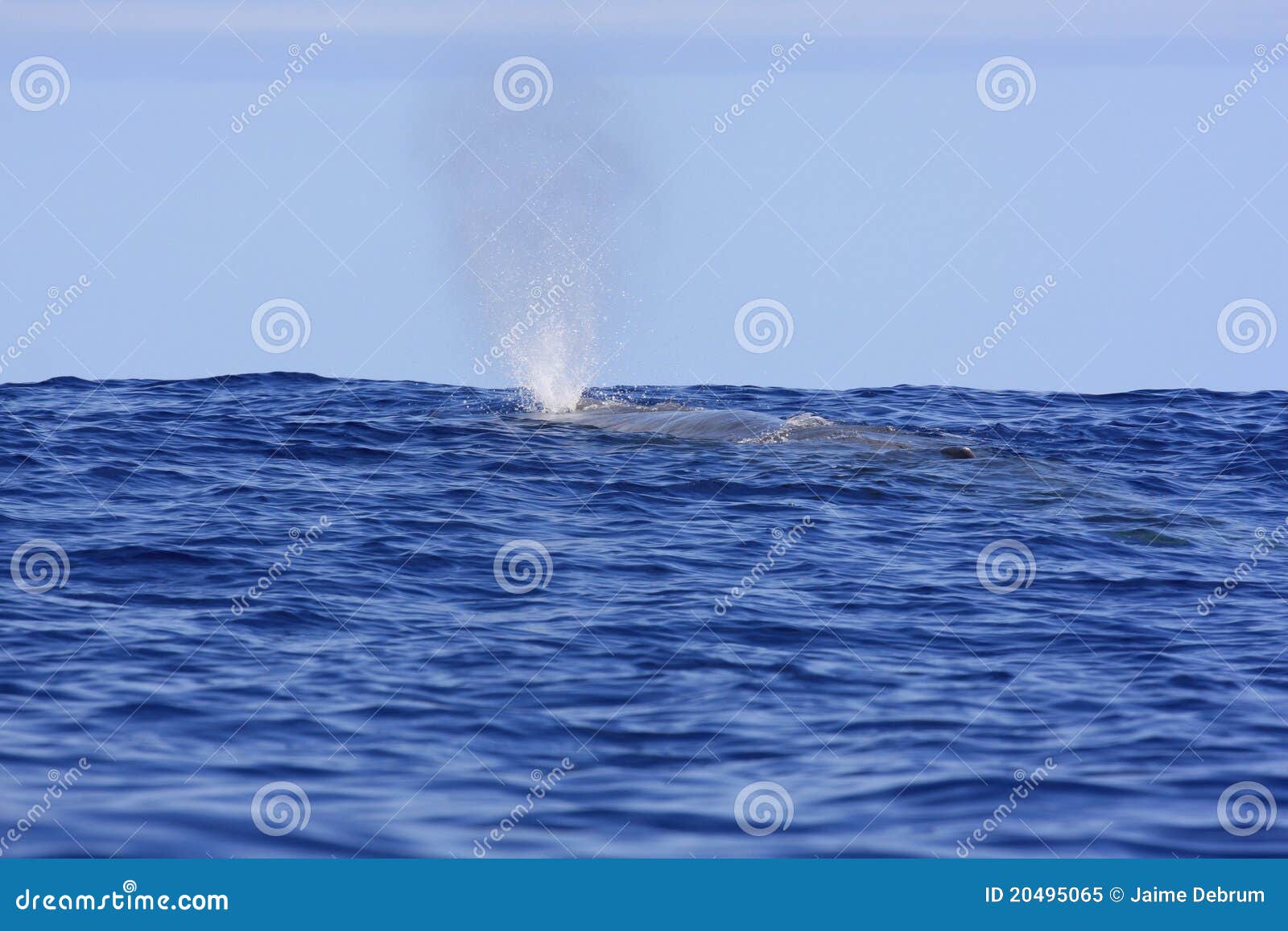 Ocean Sprinkler stock image. Image of horizon, serene - 20495065