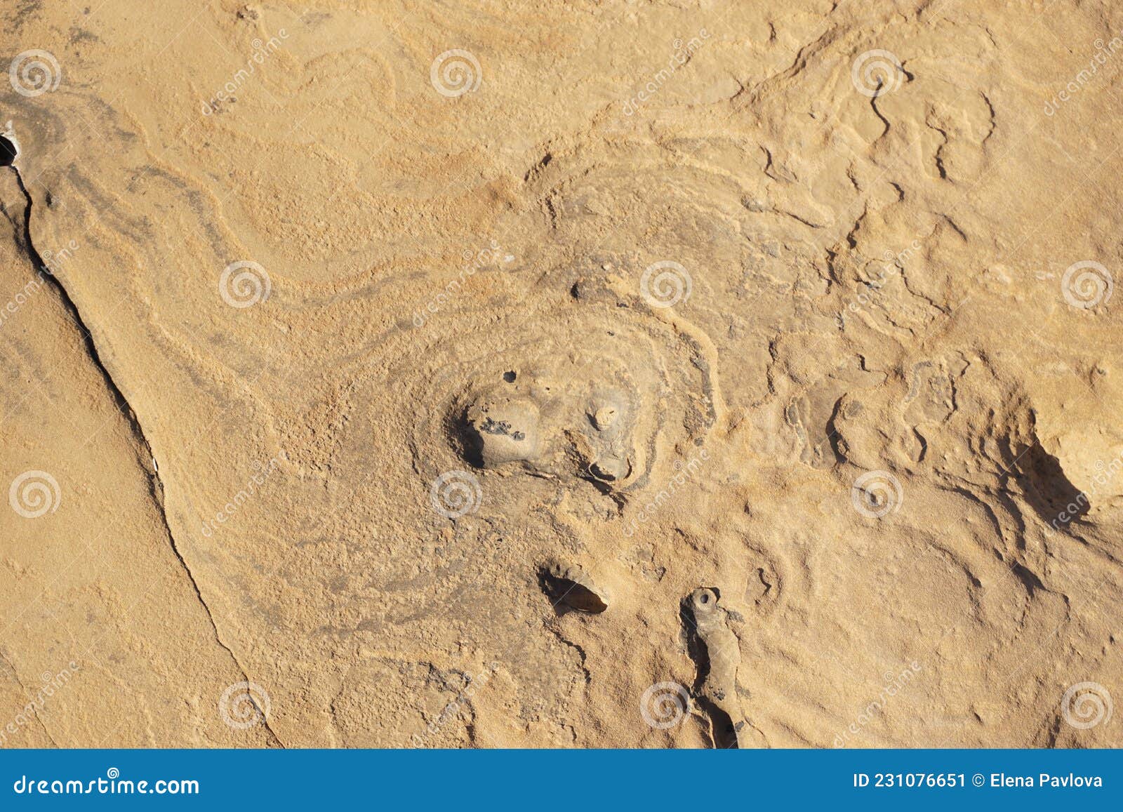 Ocean Stone Texture Natural Stock Image - Image of architecture, gray ...