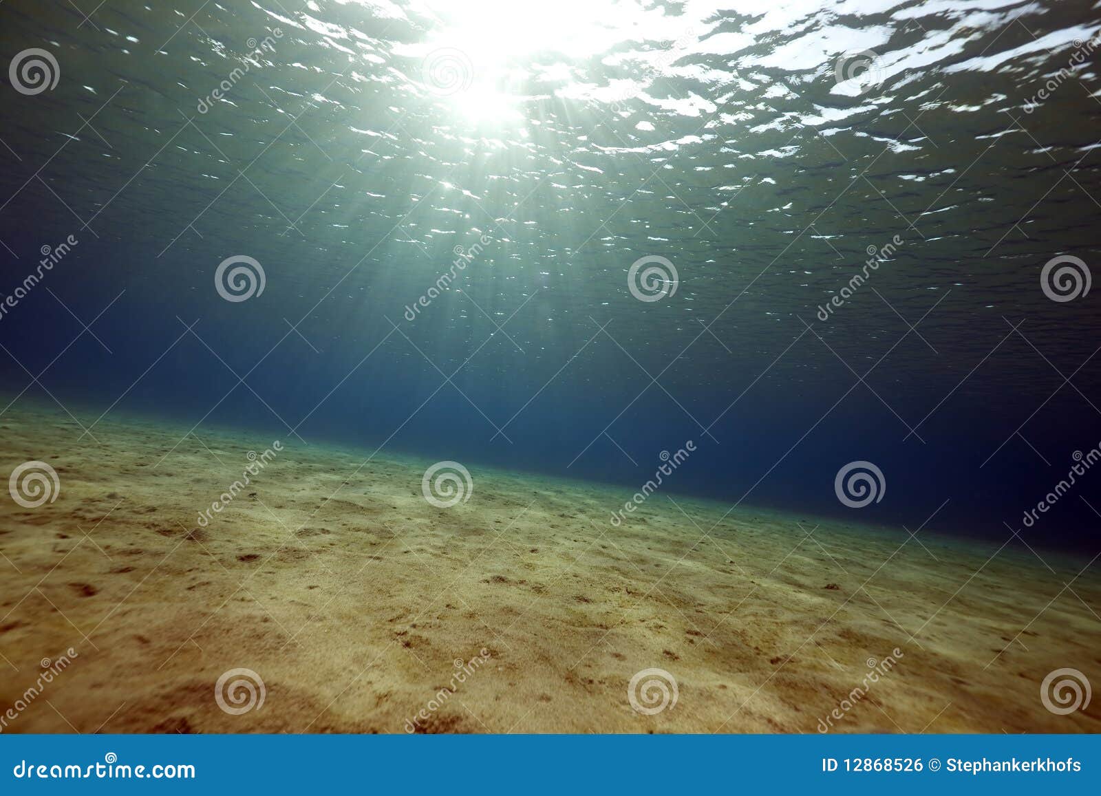 Ocean and sun stock photo. Image of aquatic, saltwater - 12868526