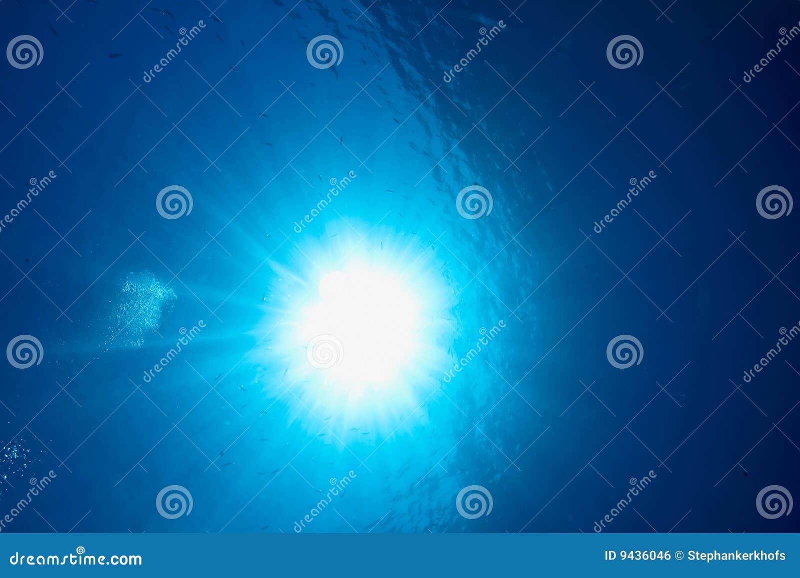 Ocean, sun and fish stock photo. Image of ripple, background - 9436046
