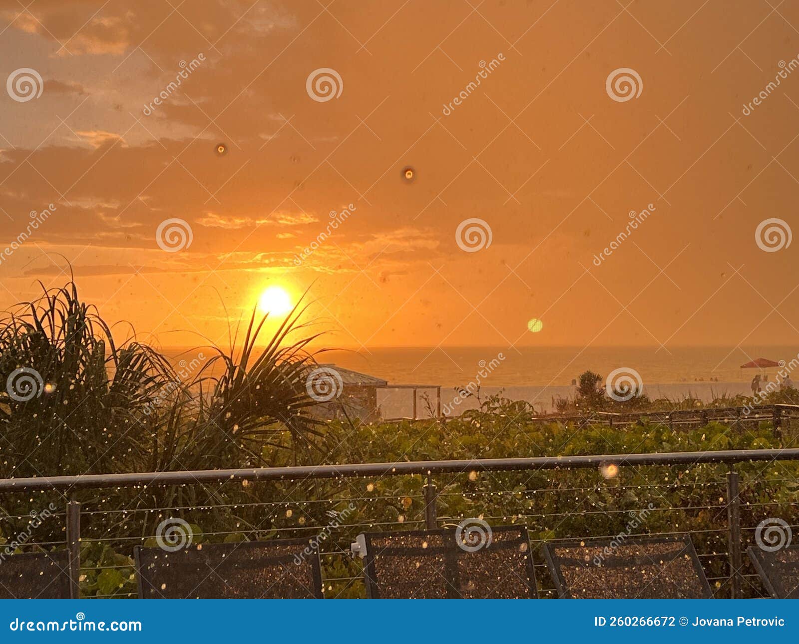 Ocean Sunset View stock photo. Image of view, ocean - 260266672