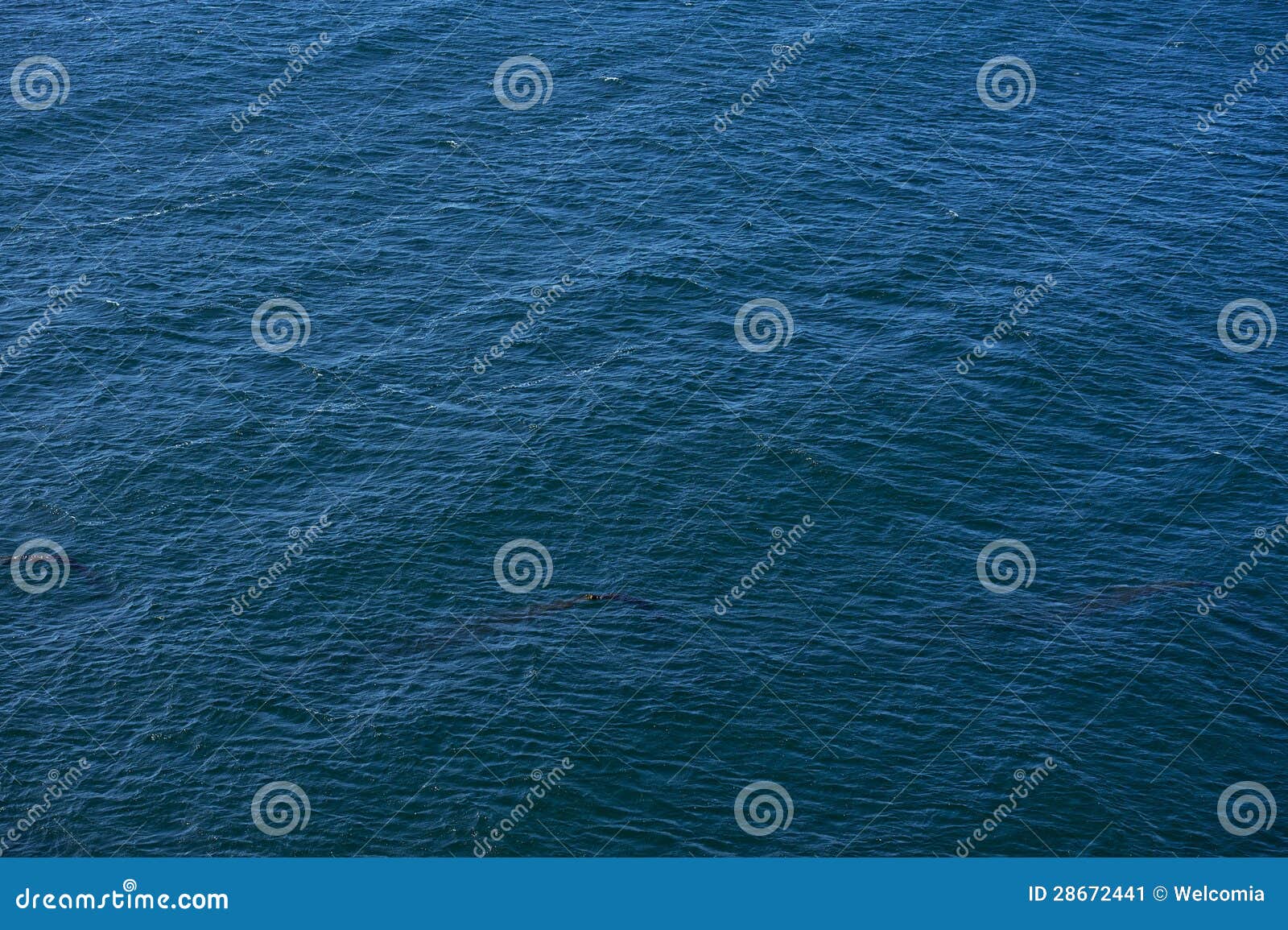 Ocean Surface Background stock image. Image of water - 28672441