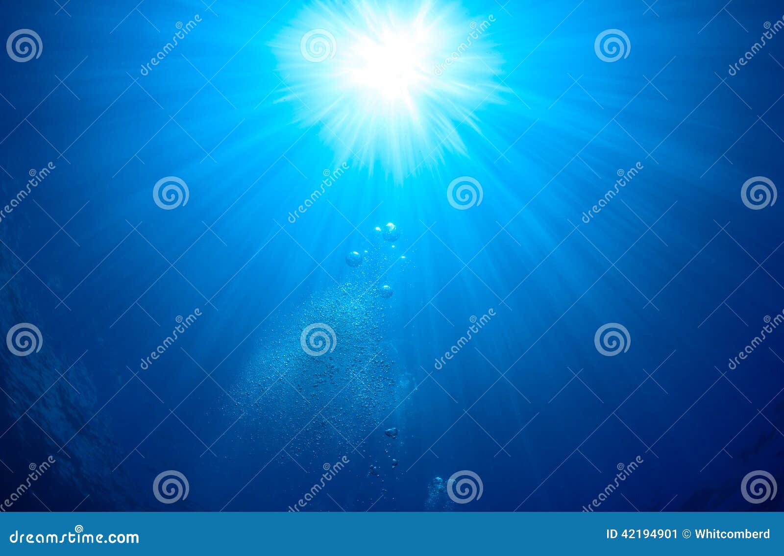 Ocean Surface Sunburst with Bubbles Stock Image - Image of marine, reef ...