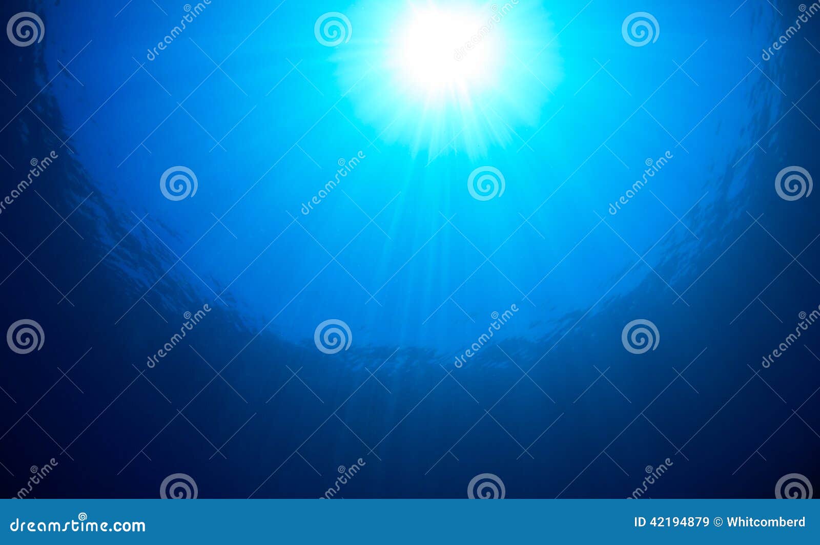 Ocean Surface Sunburst stock image. Image of aquatic - 42194879