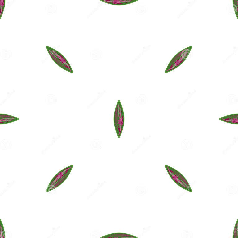 Ocean Surfboard Pattern Seamless Vector Stock Vector - Illustration of ...