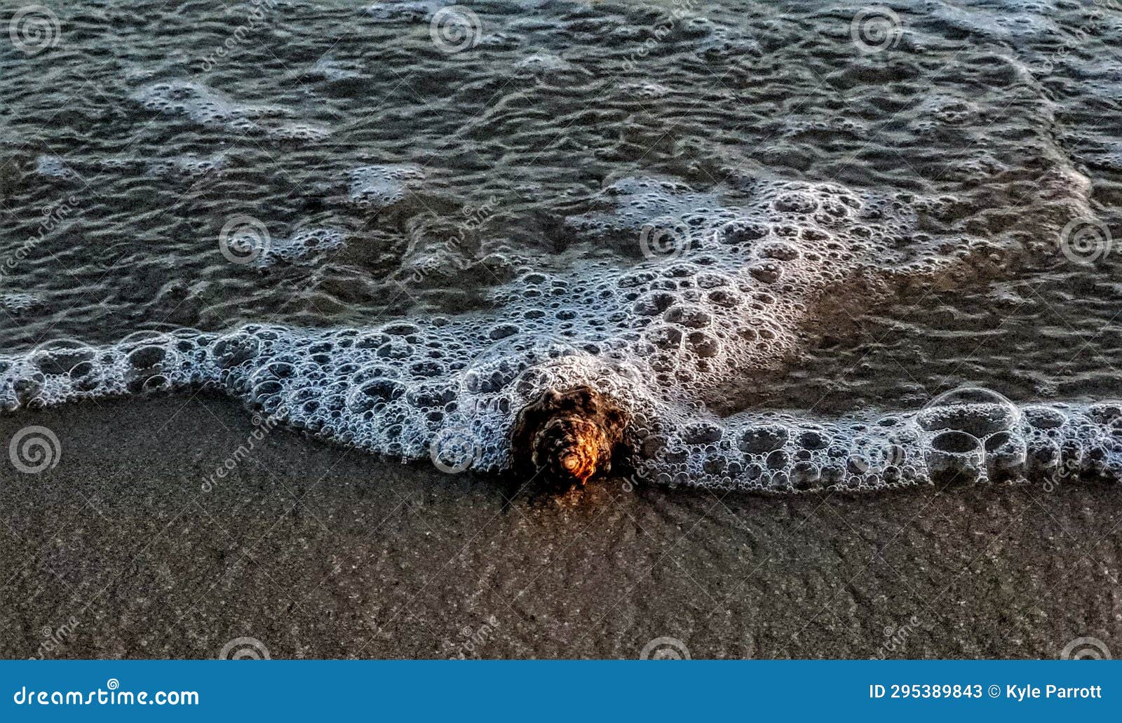 The Ocean Swallowing a Seashell Stock Image - Image of immerse, infuse ...