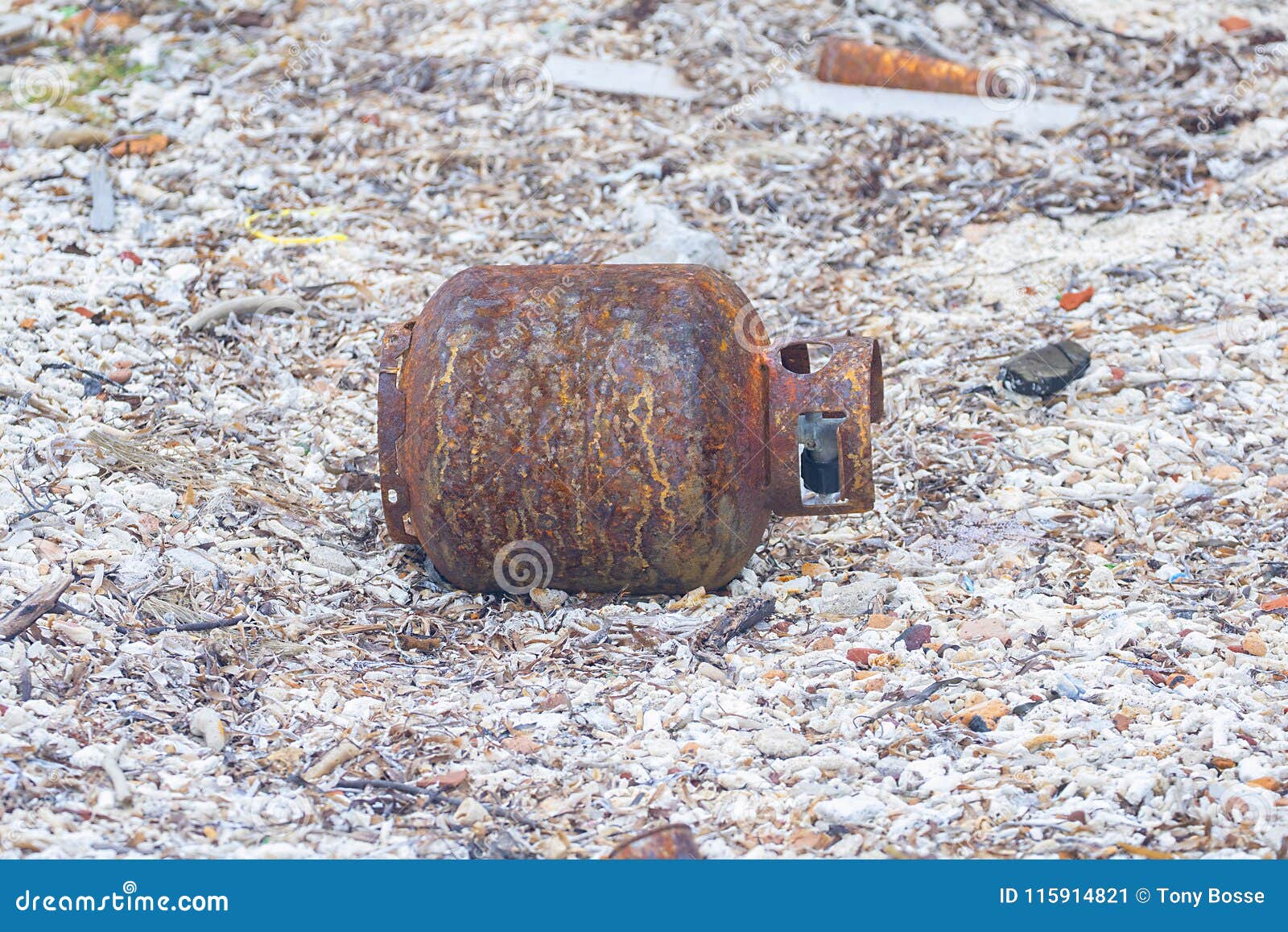 Ocean Trash stock image. Image of litter, contamination - 115914821