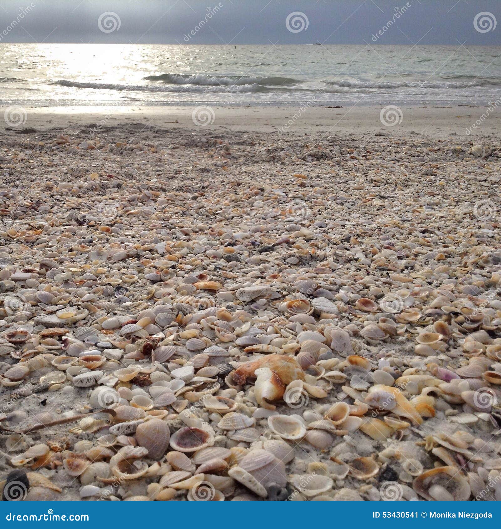 Ocean treasures stock image. Image of waves, ocean, water - 53430541