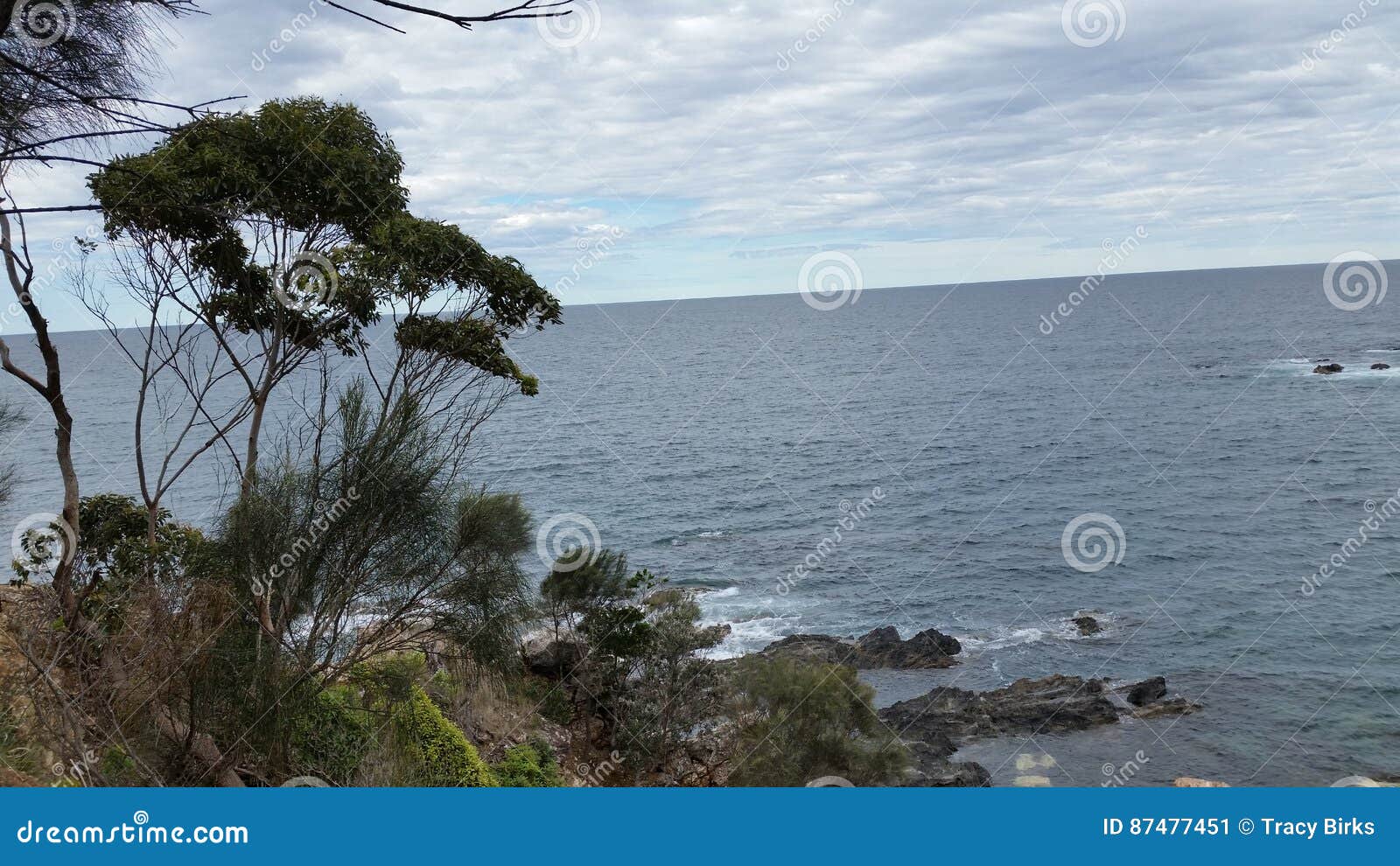 Ocean stock image. Image of ocean, trees, water, blue - 87477451