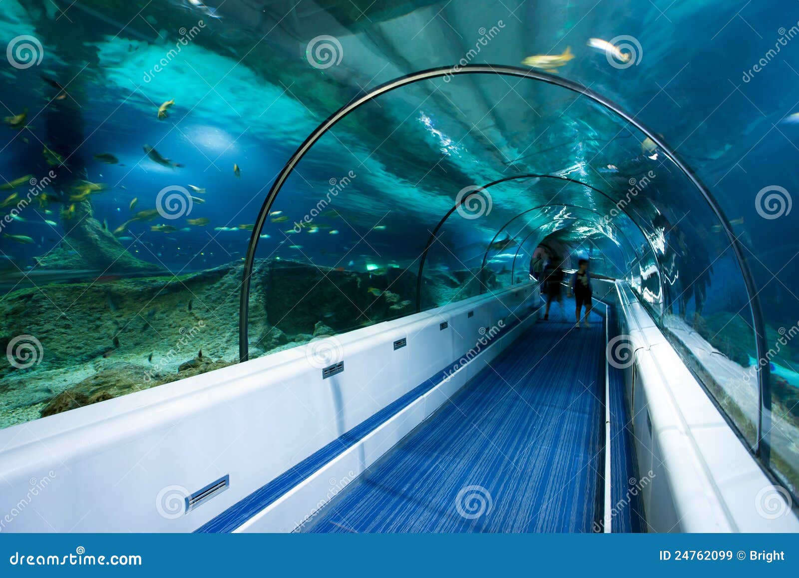 Underground Tunnel In Water