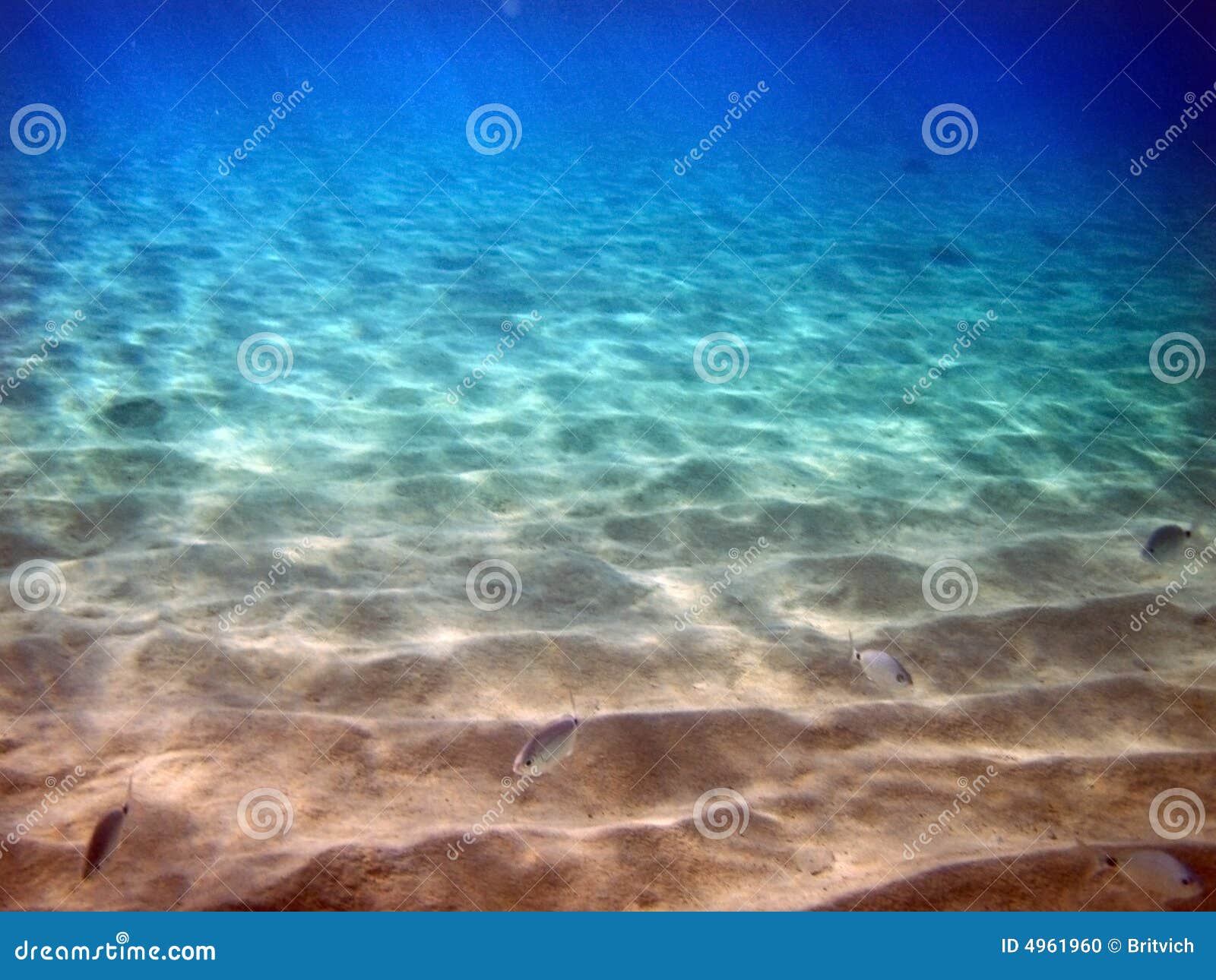 1,311 Underworld Ocean Stock Photos - Free & Royalty-Free Stock Photos ...