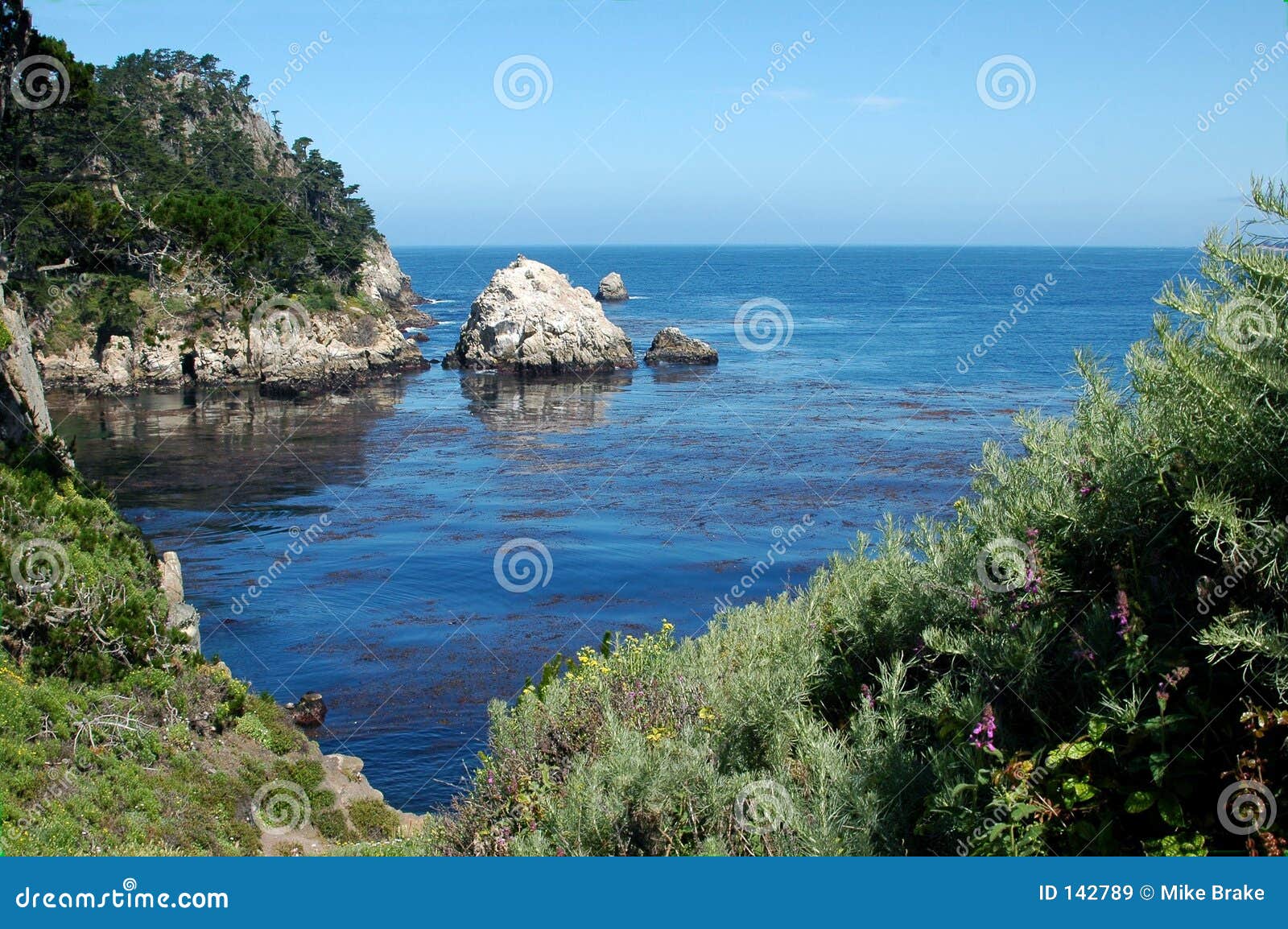 Ocean View stock image. Image of ocean, flowers, nature - 142789