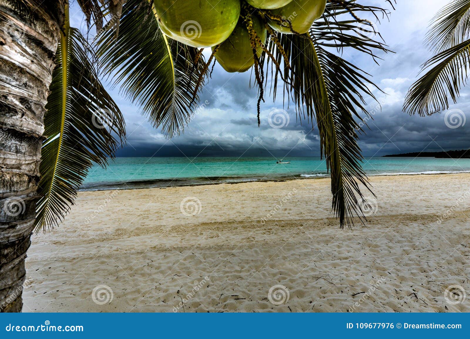 Ocean view stock photo. Image of outdoor, caribbean - 109677976