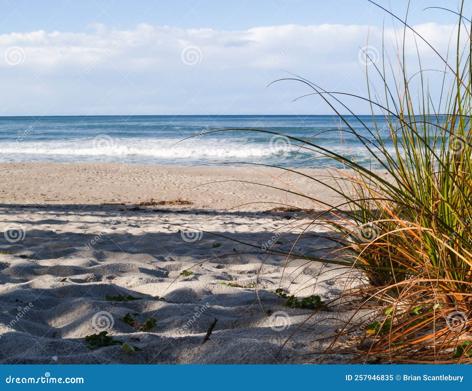 Ocean-view Beyond Marram Grass on Beach Stock Image - Image of seascape ...