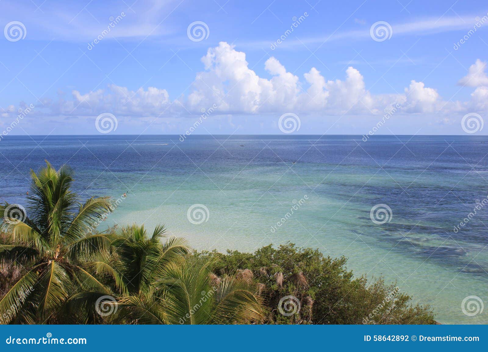 Ocean view in Florida stock photo. Image of travel, morning - 58642892