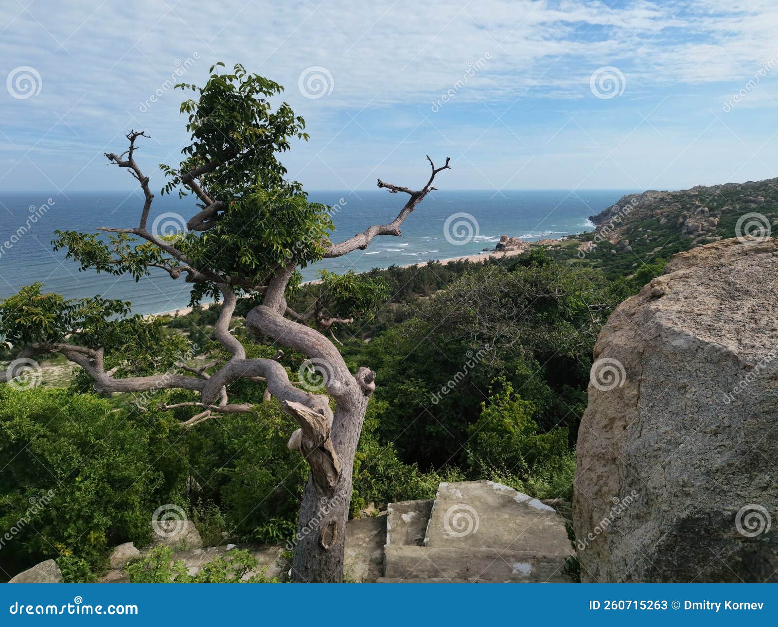 An Ocean View with the Old Half-bald Clumsy Tree and the Huge Stone ...