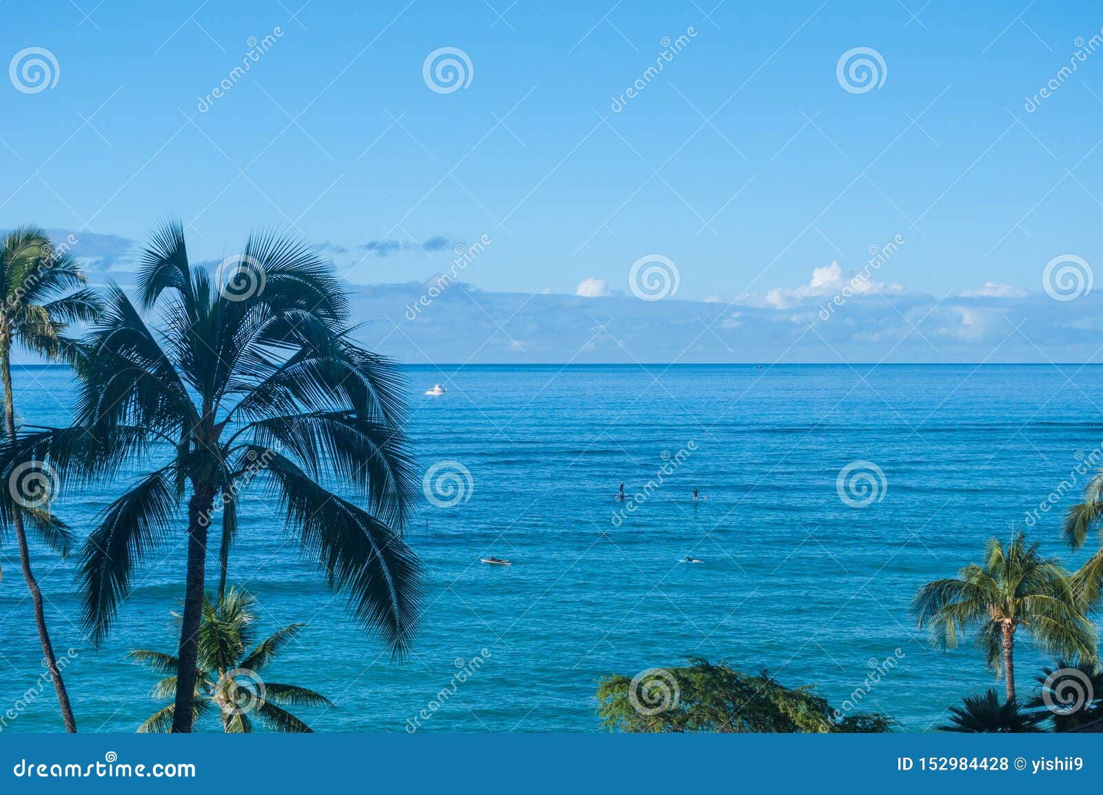 Ocean View with Palm Trees in Oahu, Hawaii Stock Photo - Image of ...
