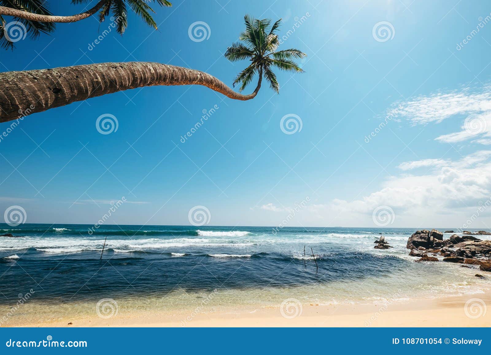 Ocean View with Palm Trees Over the Waves Stock Photo - Image of scenic ...