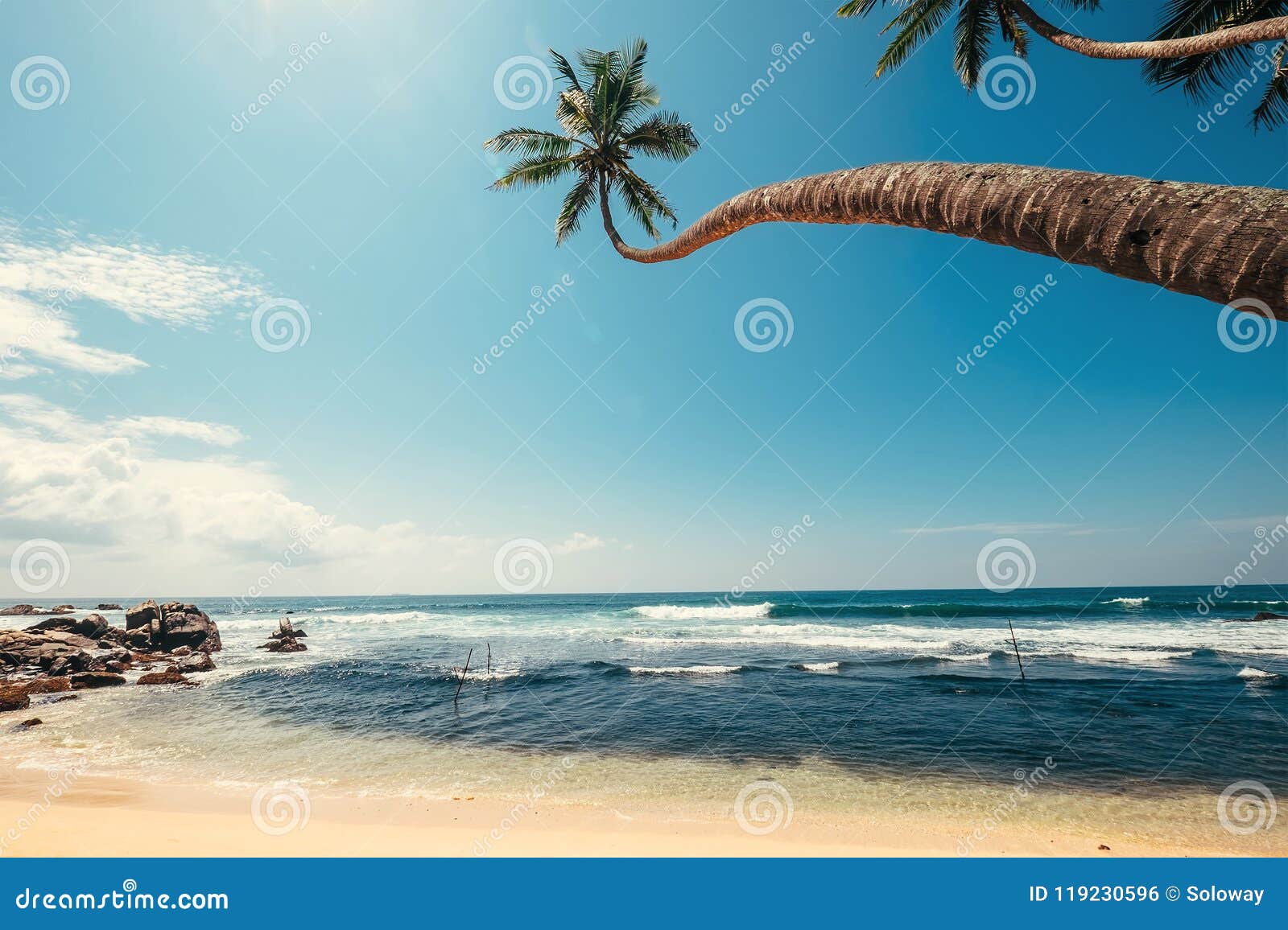 Ocean View with Palm Trees Over the Waves Stock Photo - Image of ...