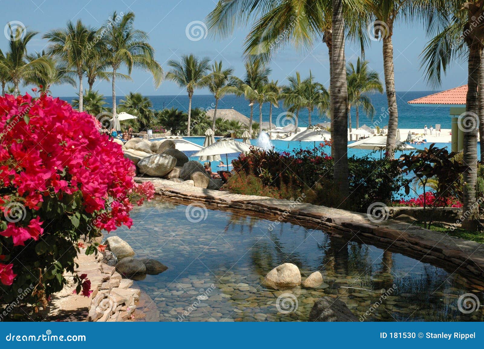 Ocean View at a Resort in Cabo San Lucas, Mexico Stock Photo - Image of ...