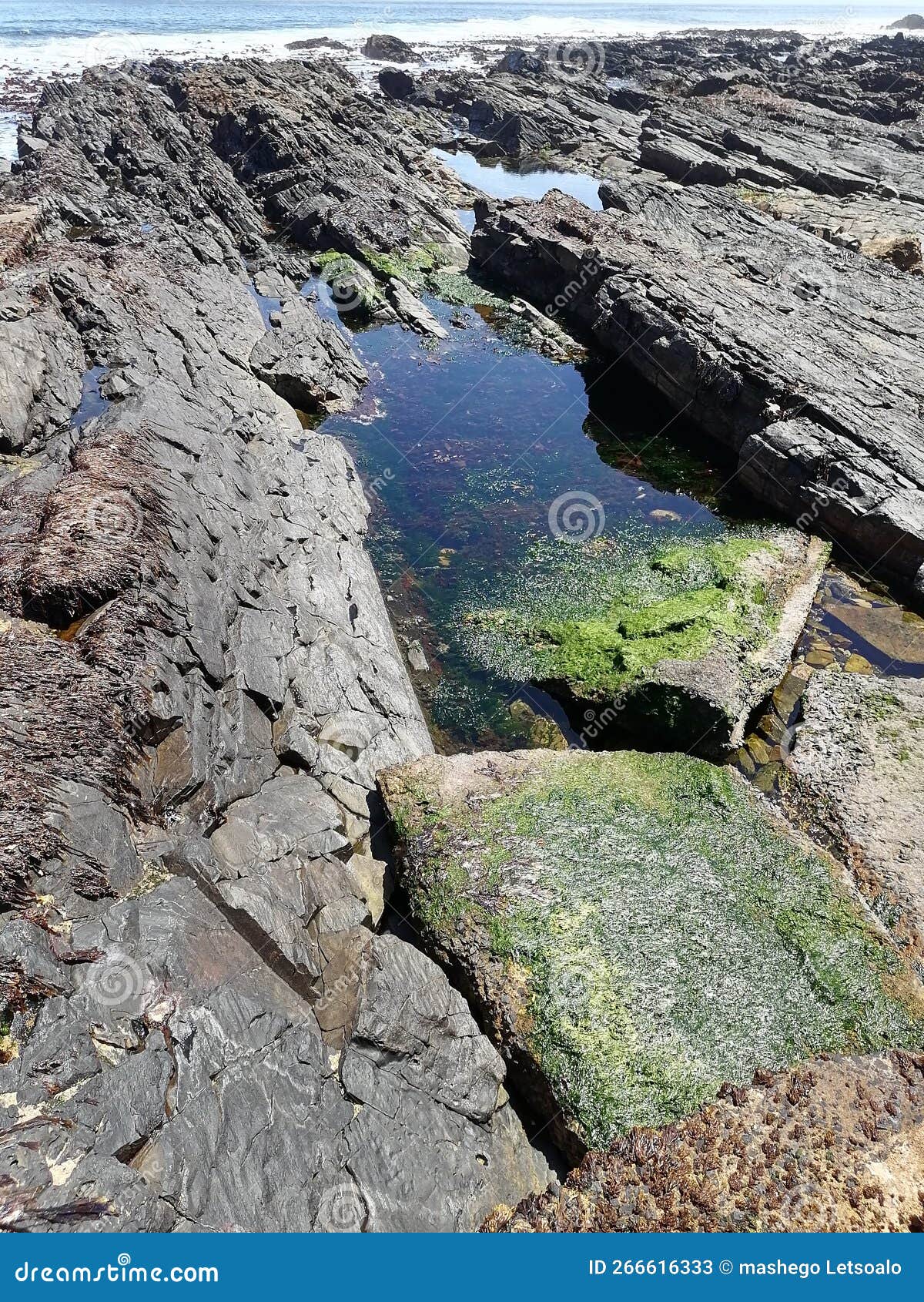 An Ocean View, Rock-an-oceanview Stock Image - Image of mountain, tree ...