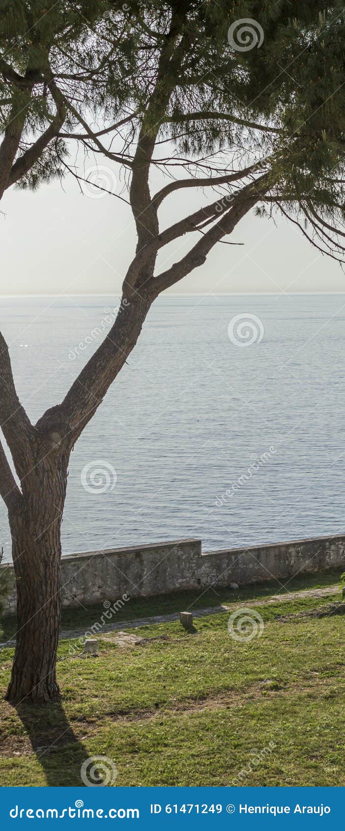 Ocean view stock image. Image of landscape, stone, sunny - 61471249