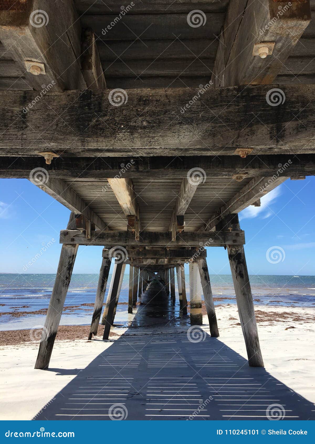 View Under Wood Ocean Jetty Stock Image - Image of jetty, view: 110245101