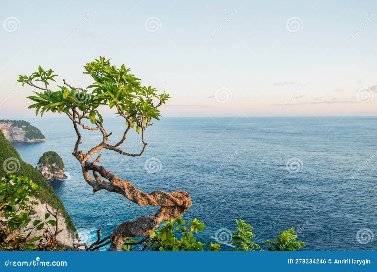 Ocean View Tree and Skyline Landscape from Cliff Stock Photo - Image of ...