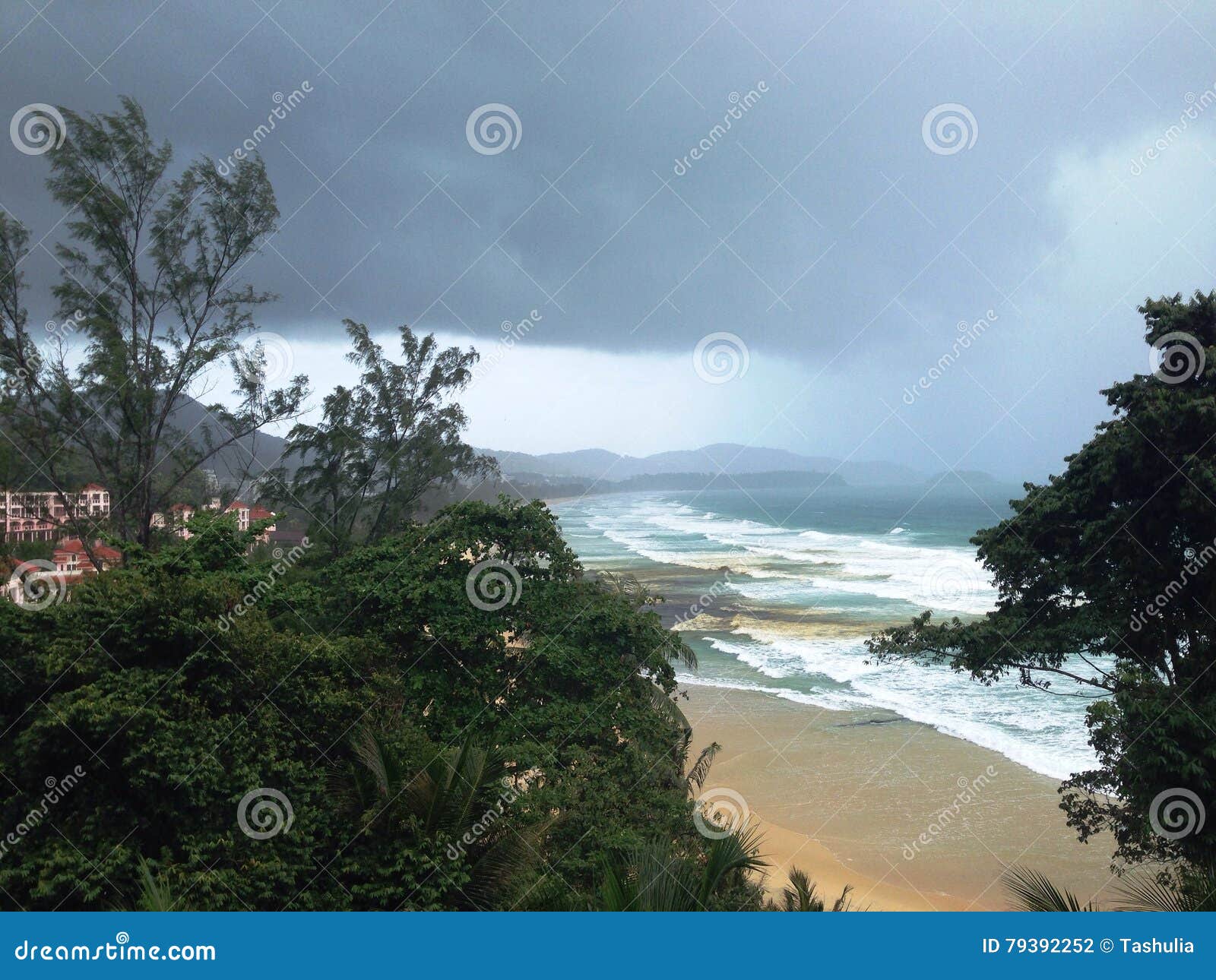 Ocean view stock photo. Image of water, leaf, storm, ocean - 79392252