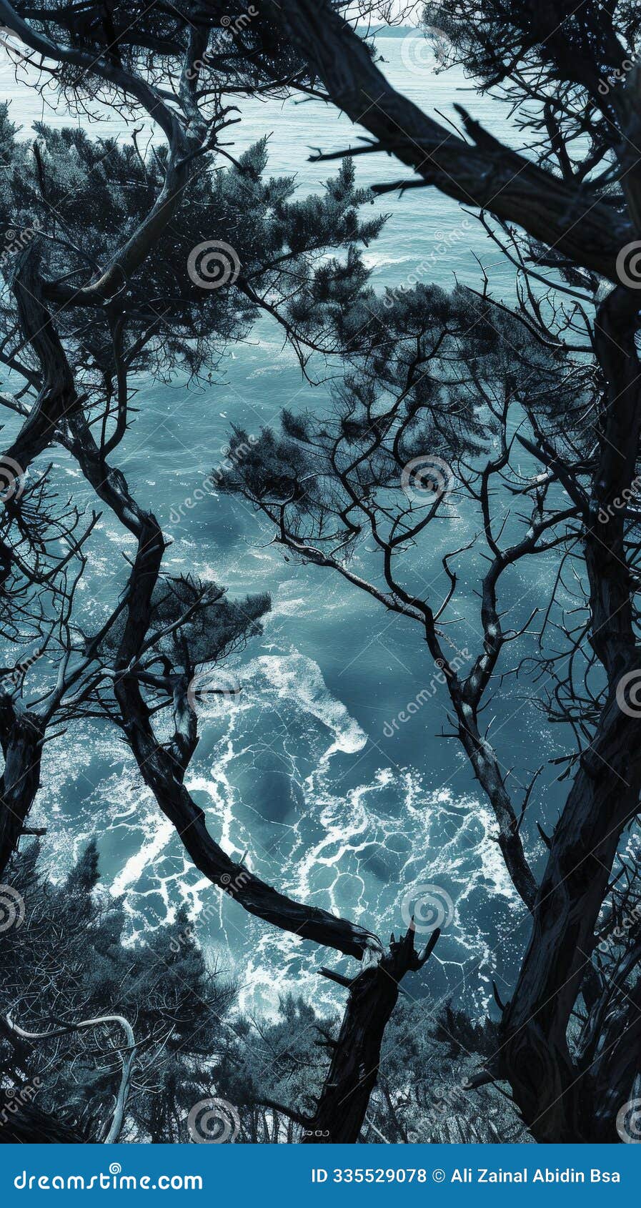 Ocean View through Trees.Framed Serenity Stock Illustration ...