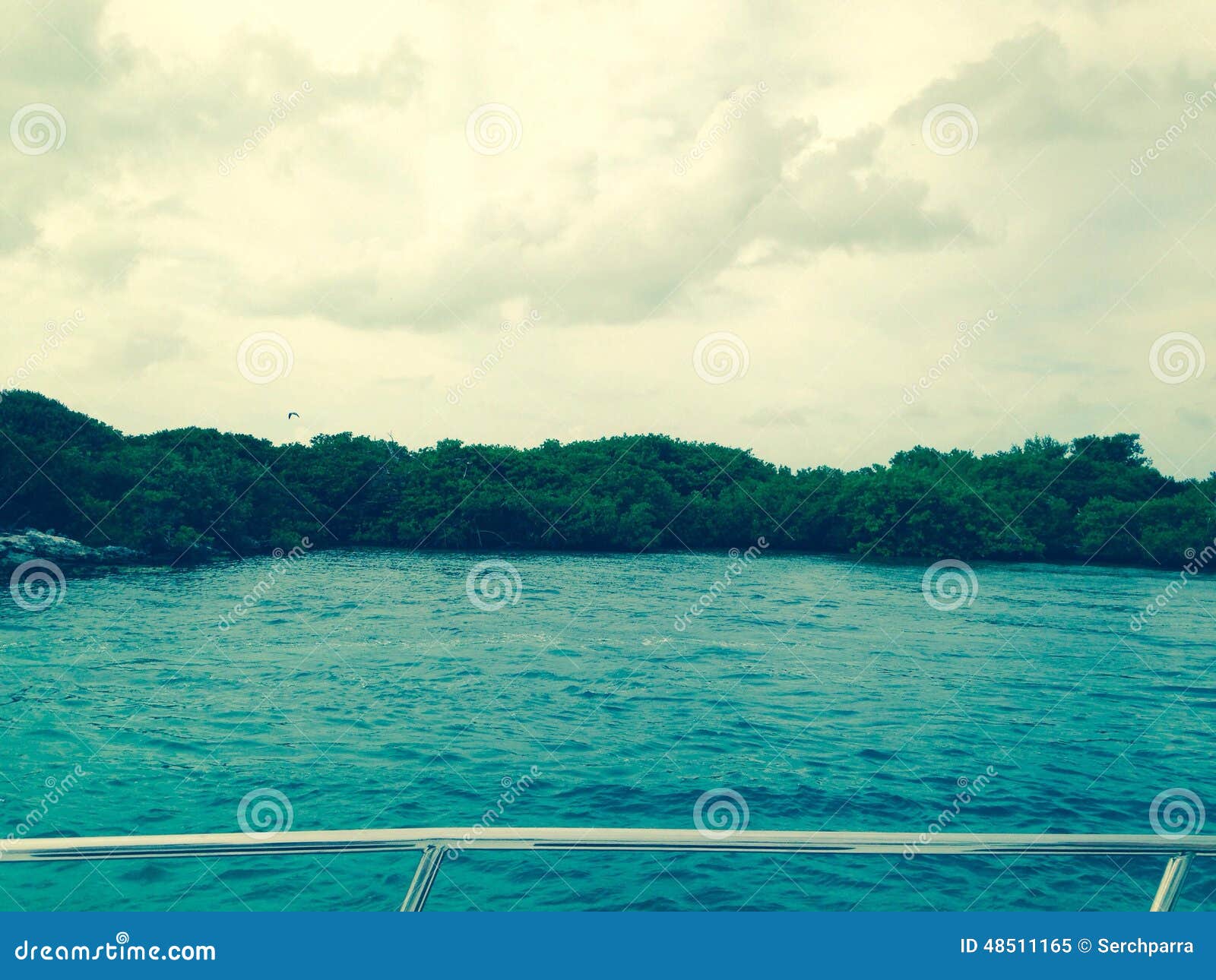 Ocean & water stock image. Image of snorkel, island - 48511165