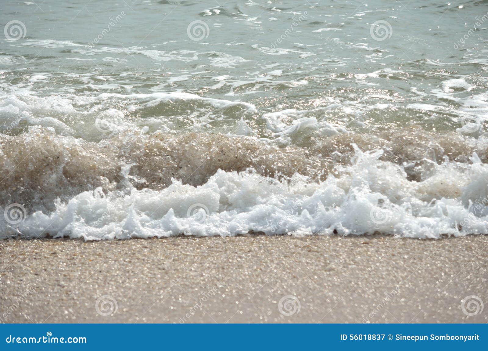Ocean wave at the beach stock image. Image of water, beach - 56018837