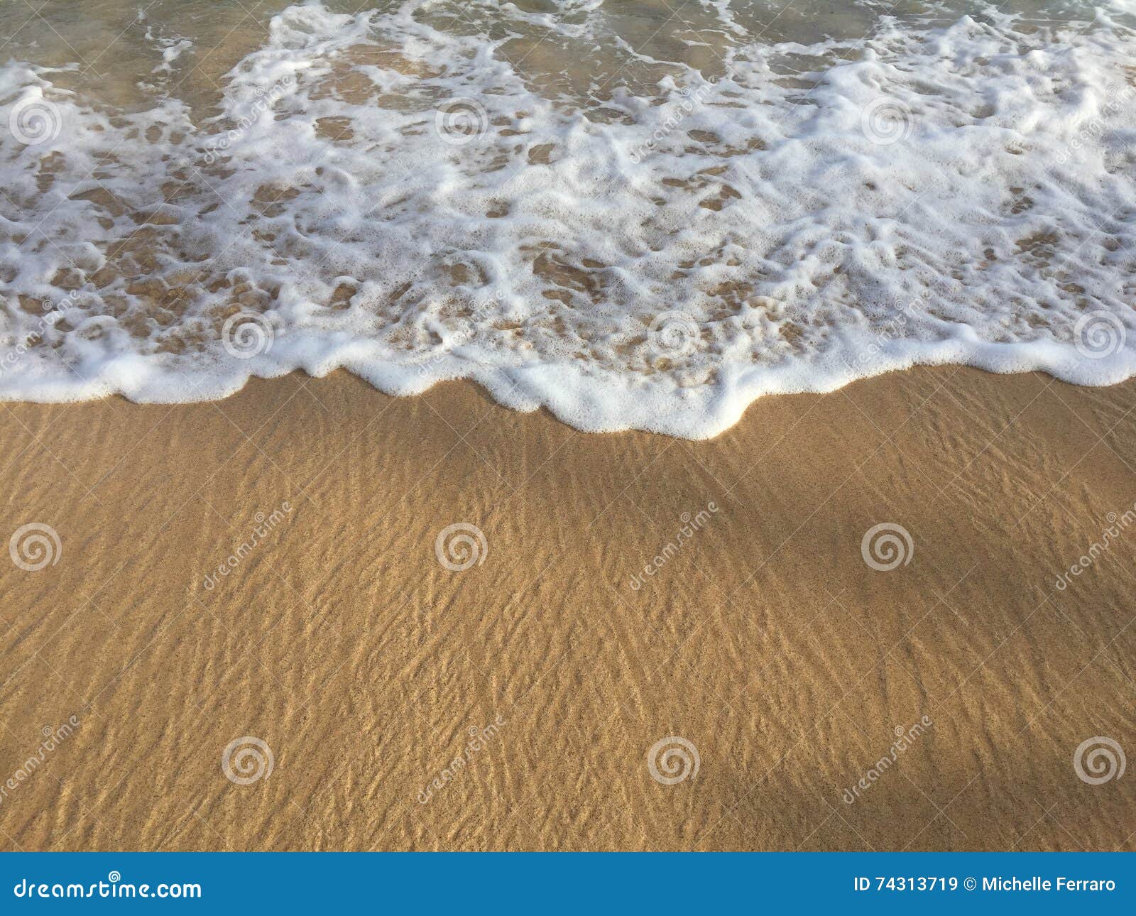 Ocean Wave Coming in on the Sand. Stock Image - Image of season, beach ...