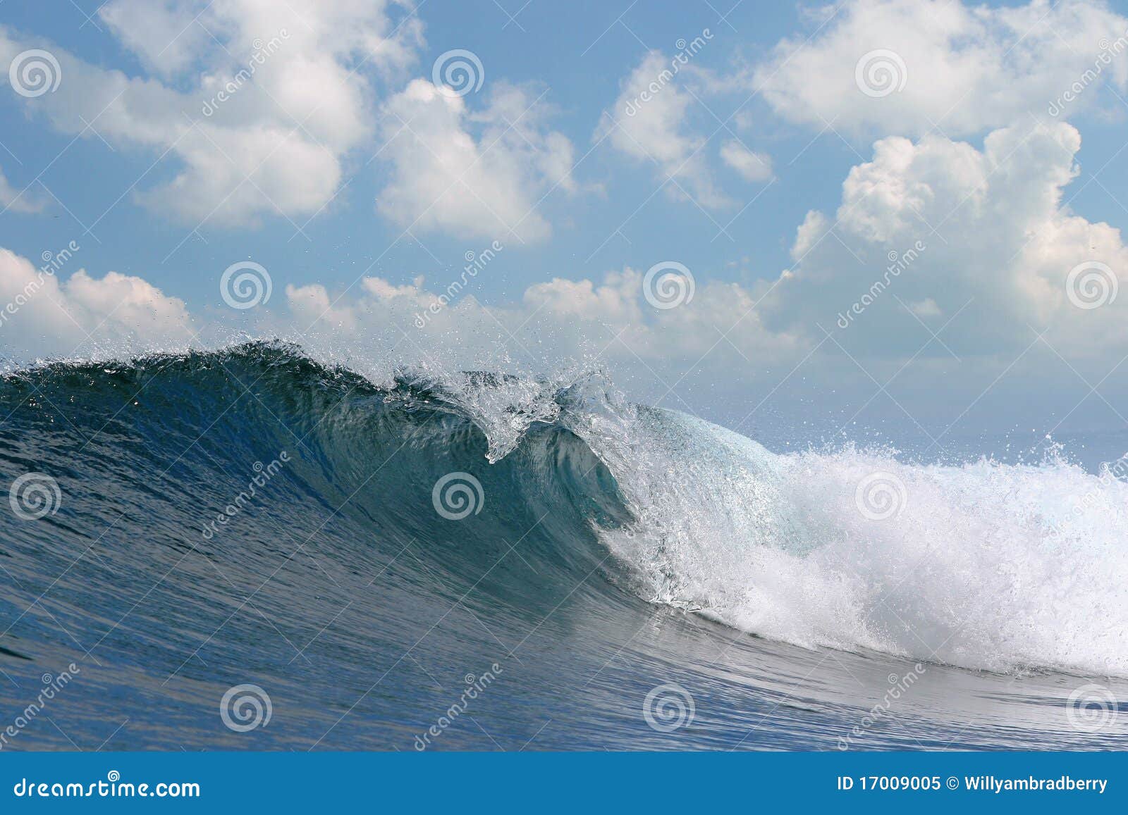 329 Falling Large Wave Photos - Free & Royalty-Free Stock Photos from ...