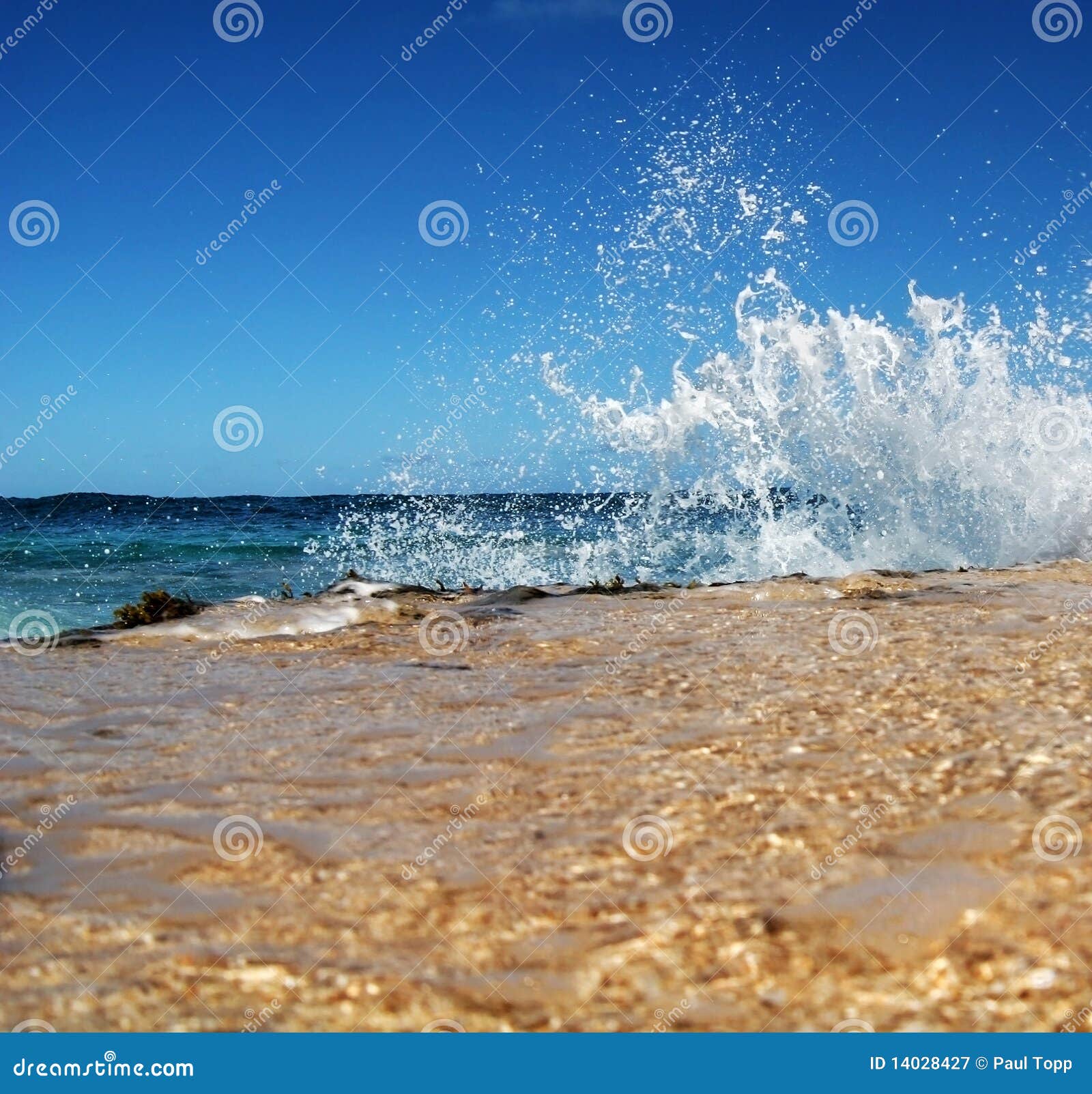 Ocean Wave Splash on the Beach Stock Image - Image of pacific, beaches ...