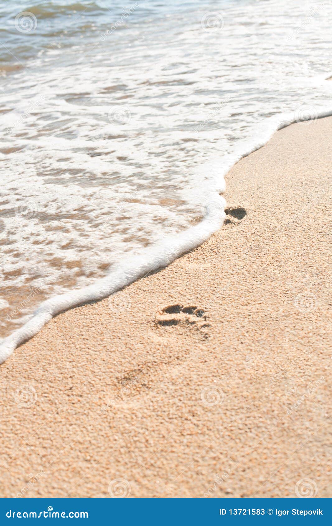 Ocean Wave Wash Away Footprints Stock Image - Image of footprints ...