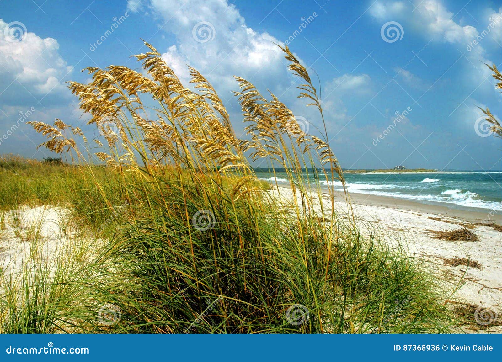 Ocean Waves on Beach with Saw Grass Stock Photo - Image of rolling ...