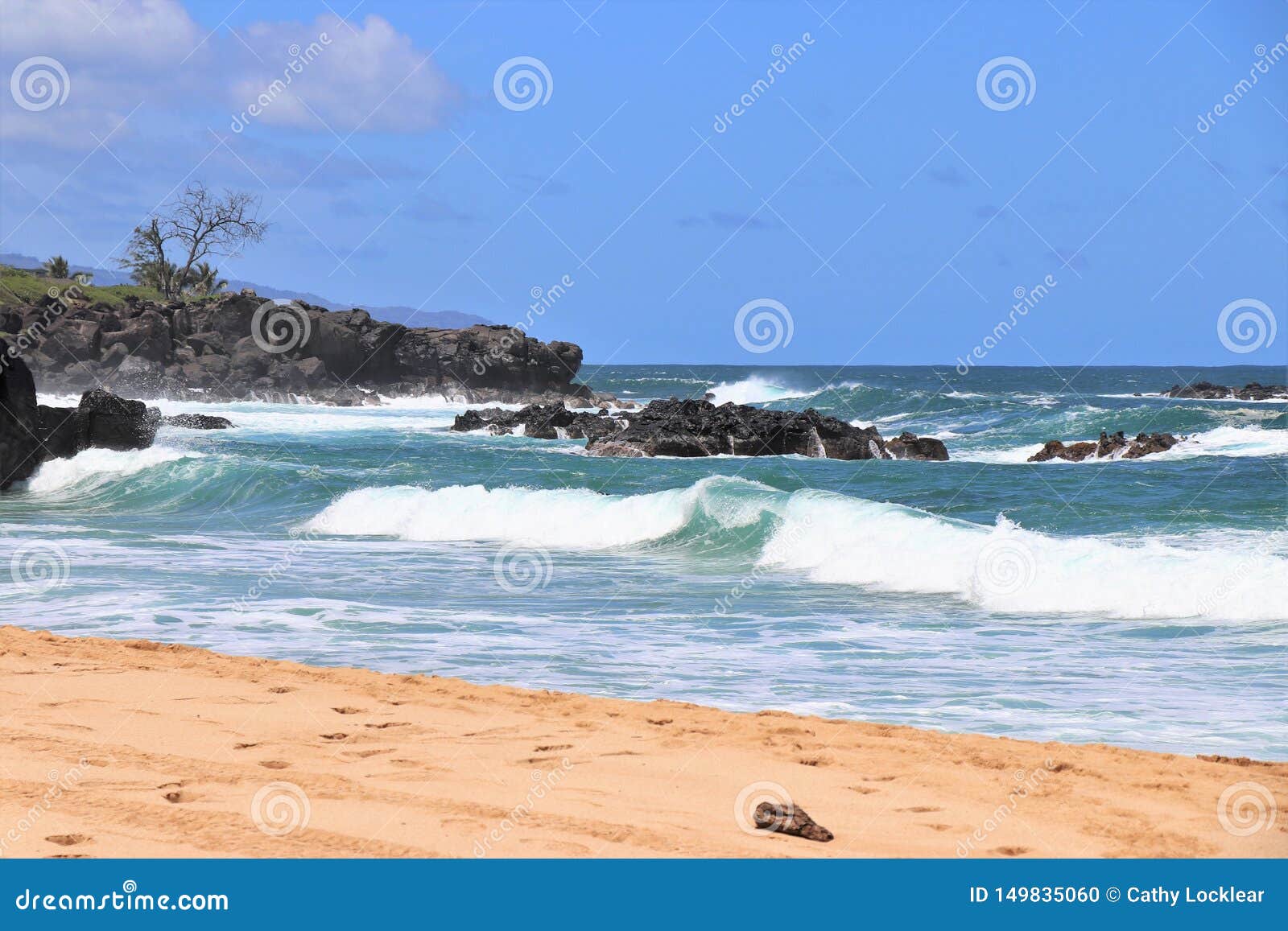 Ocean Waves Breaking Along a Rocky Beach Stock Photo - Image of views ...
