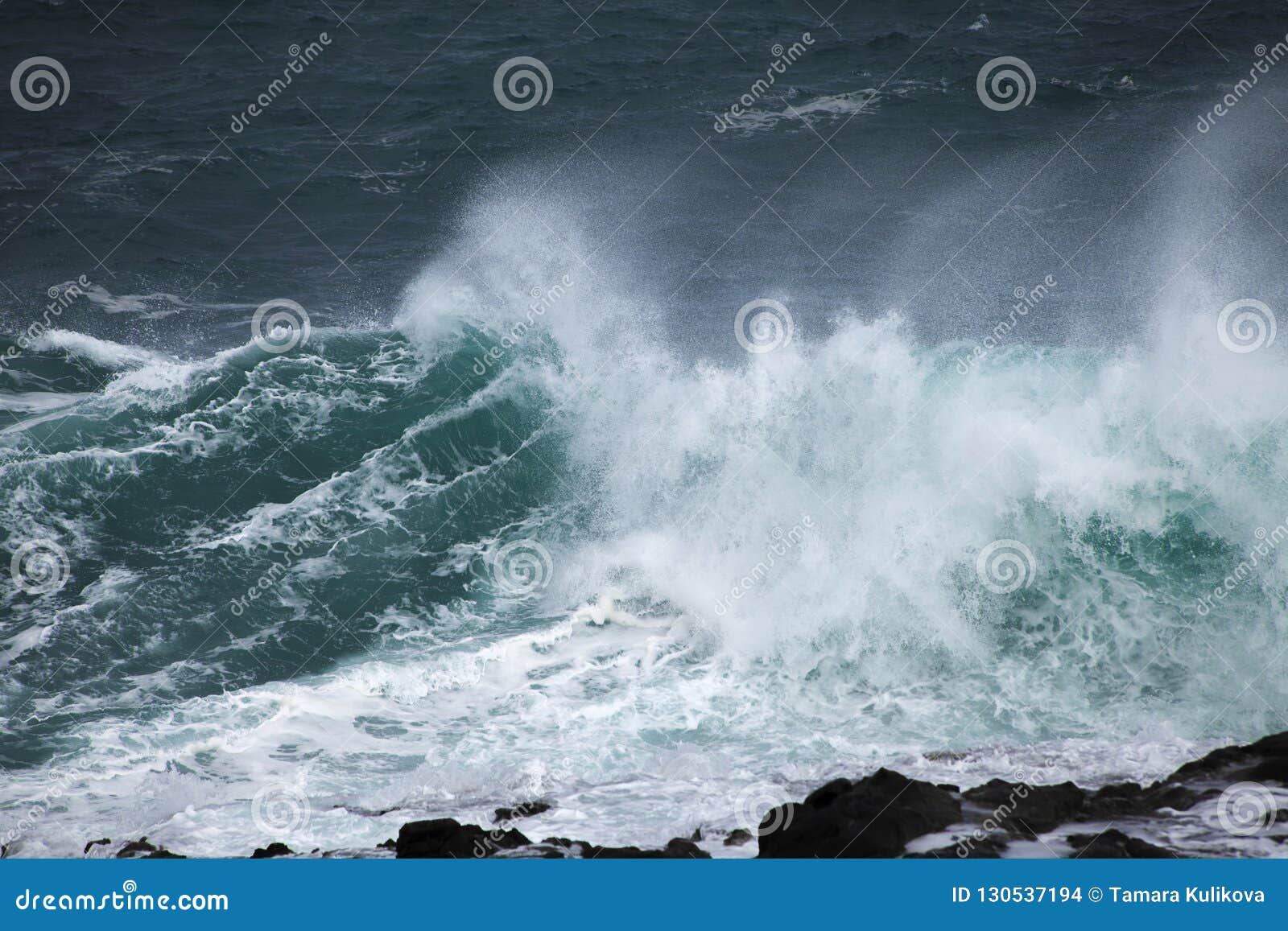 Ocean waves breaking stock photo. Image of available - 130537194