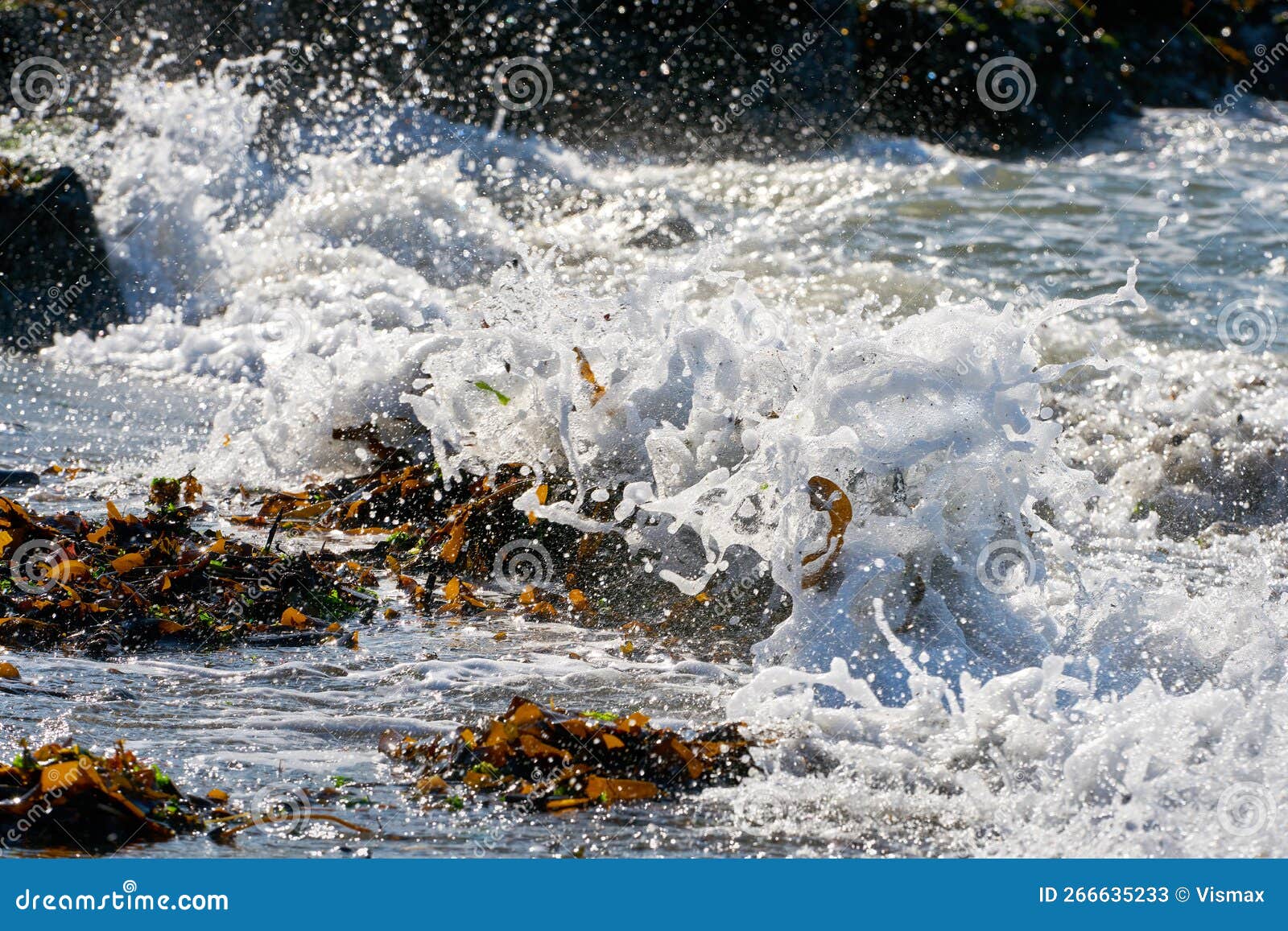 Beach Waves Break on Shore stock image. Image of copy - 266635233