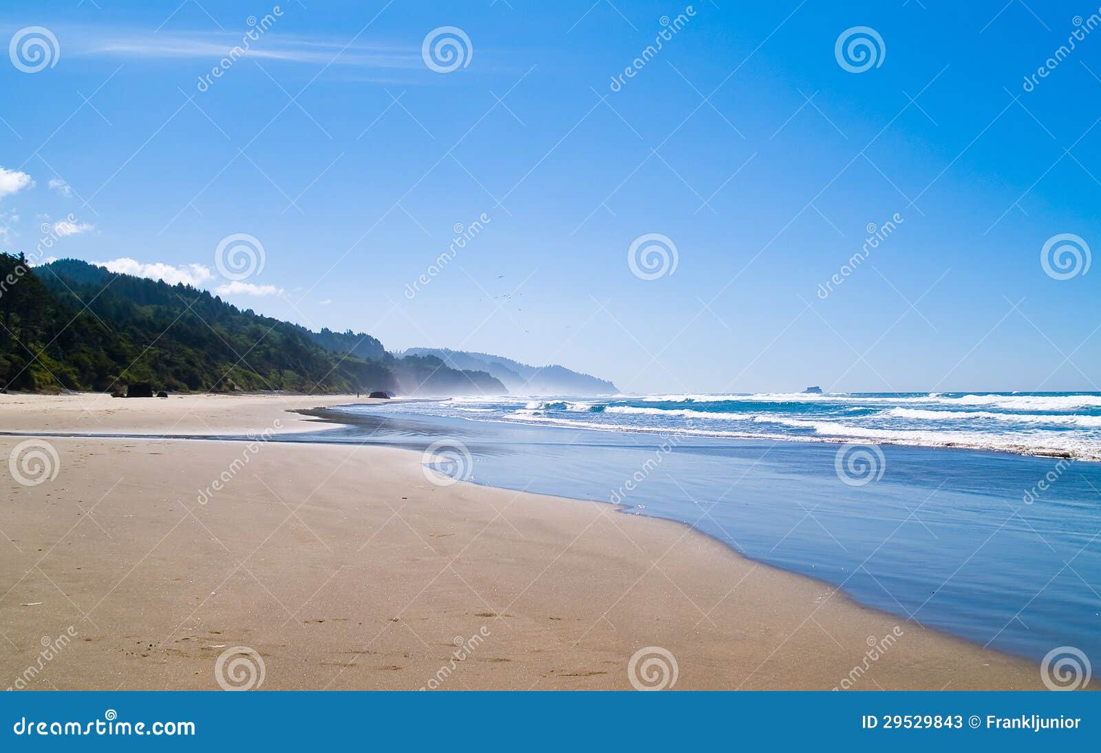 Ocean Waves on the Shore stock image. Image of froth - 29529843