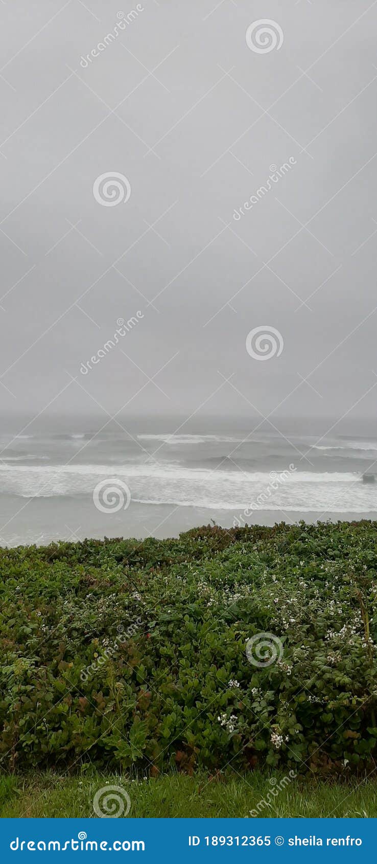 Ocean Waves View. Foggy Evening Stock Image - Image of frost, floor ...