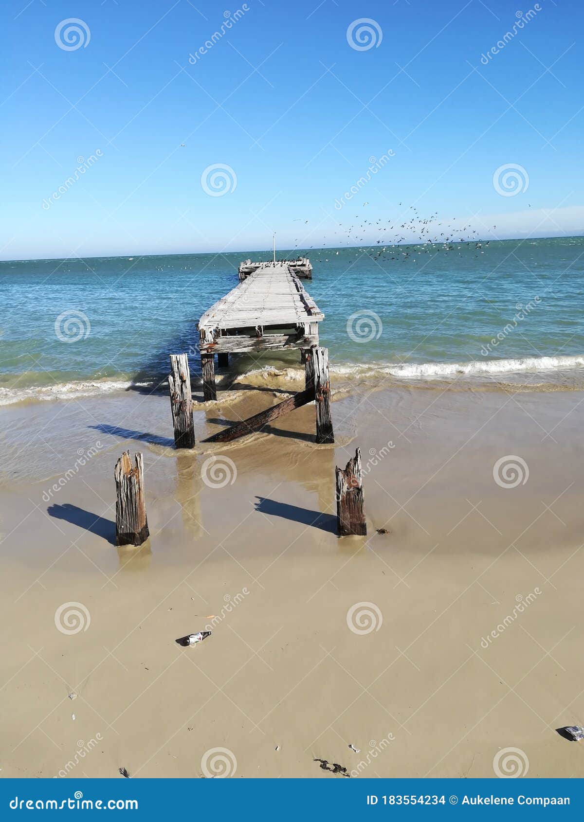 Ocean yeti stock photo. Image of sand, ocean, boating - 183554234