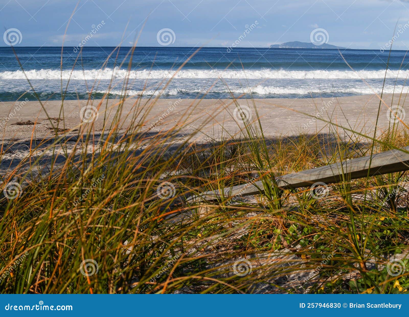 Ocean-view Beyond Marram Grass on Beach Stock Photo - Image of seascape ...
